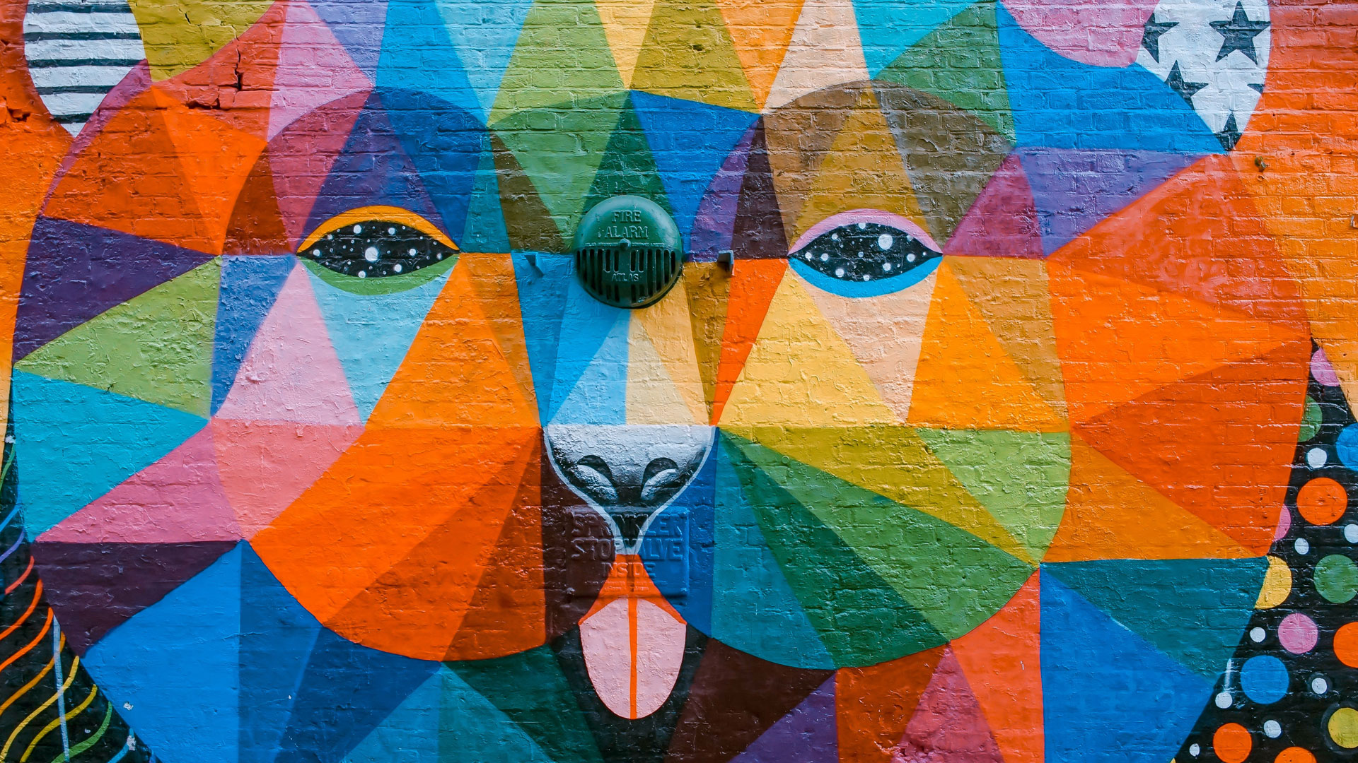 More adventurous colours – OCLF